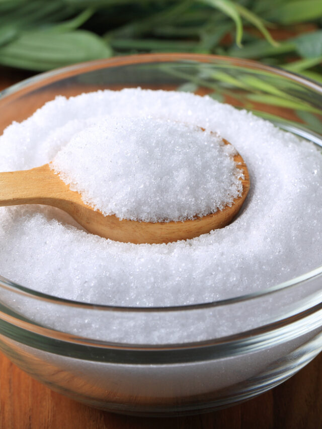 O que é xilitol e como usar? | Growth Blog